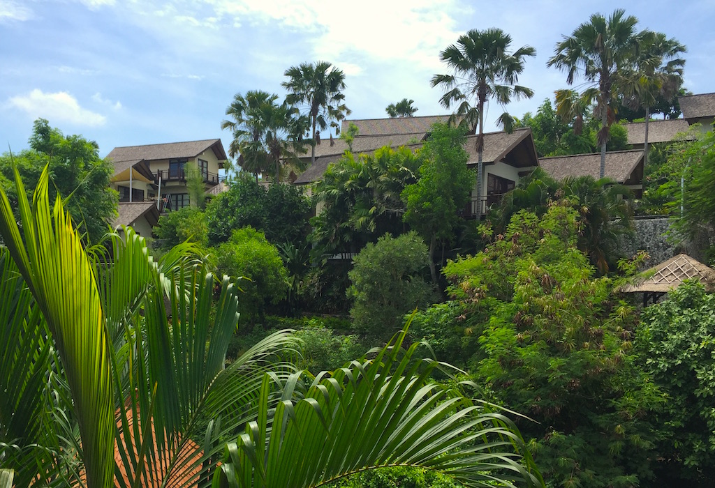 Monkeys in Bali: this is what you want to know before you meet them!